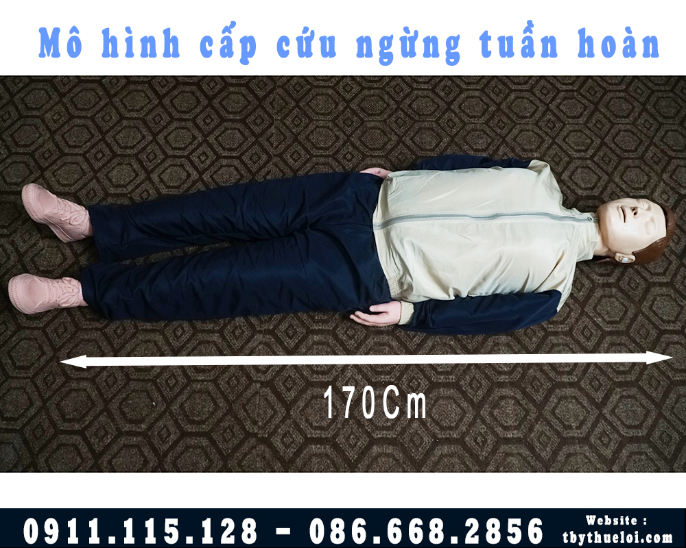 Mô hình cấp cứu ngừng tuần hoàn 170cm